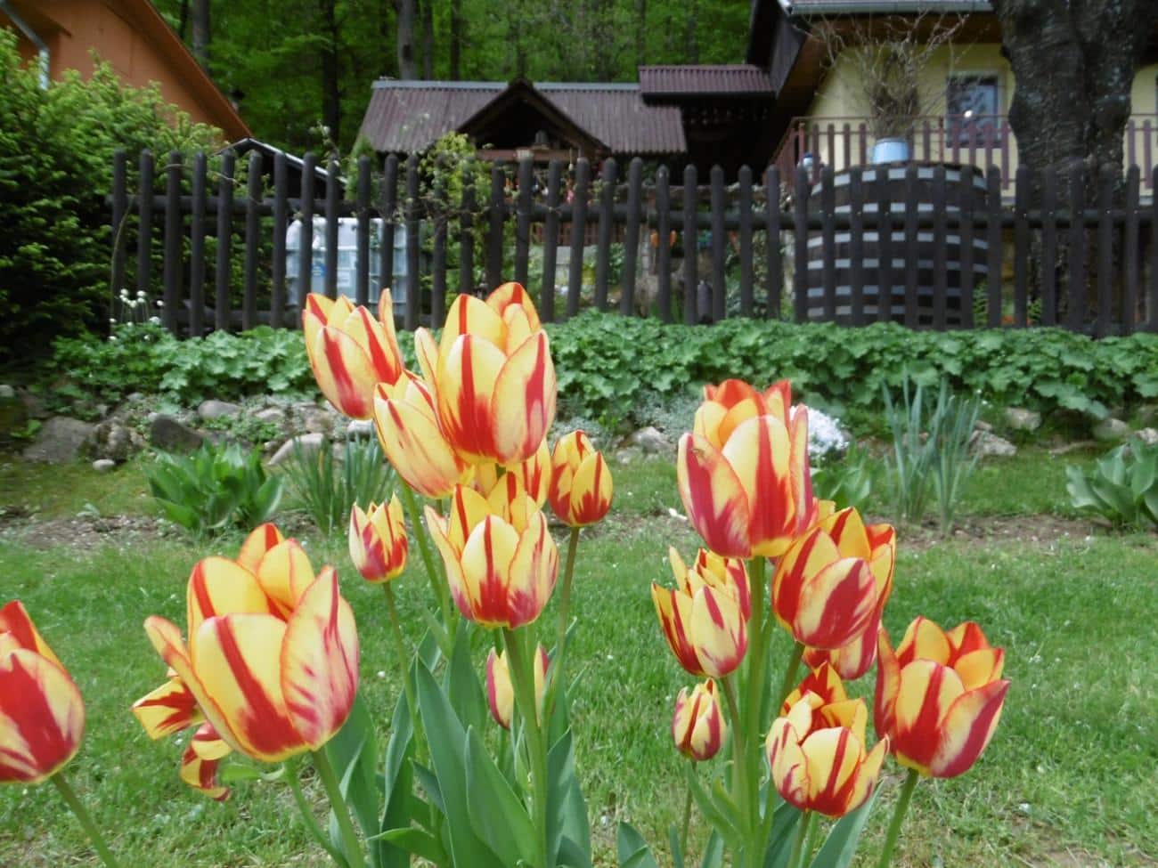 Jar v záhrade - www.ikitka.sk (FOTOGALÉRIA)